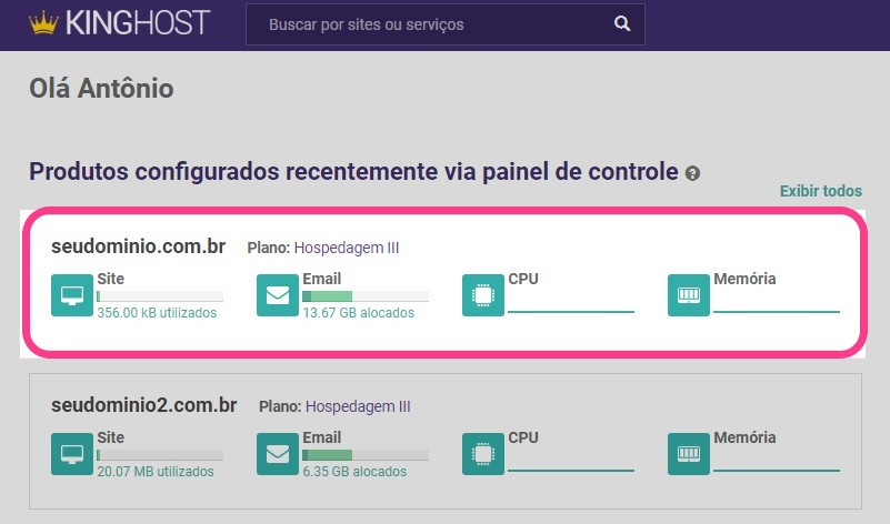 KingHost – Bagy