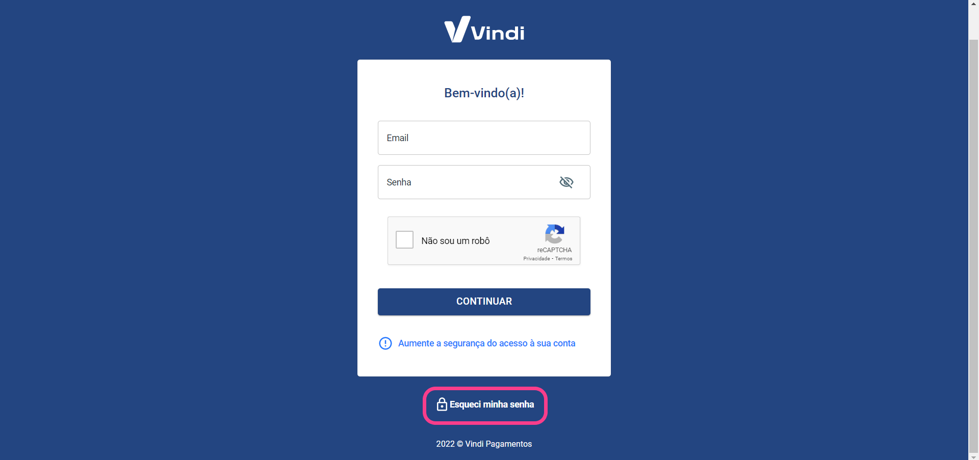 Vindi – Bagy