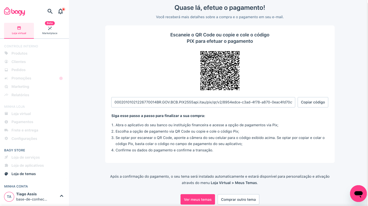 Como instalar um tema – Bagy